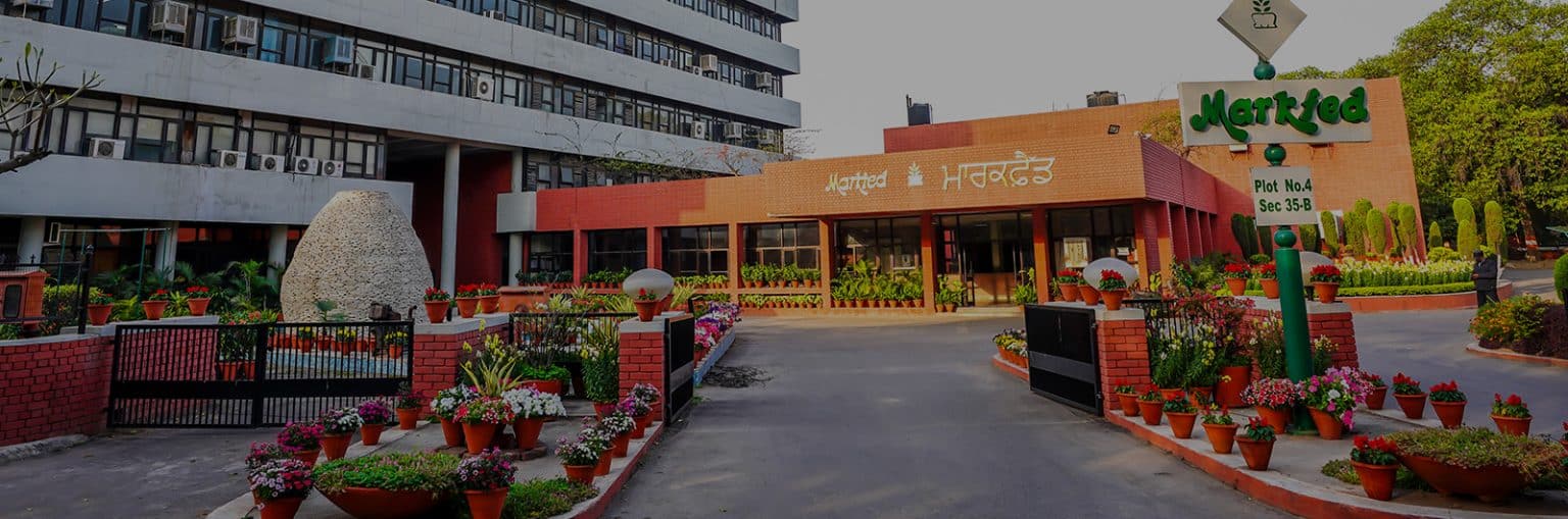 Markfedpunjab – Punjab Markfed