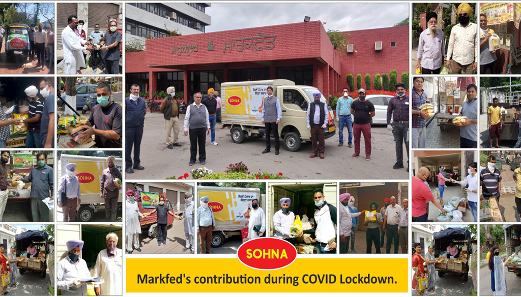 covid – Markfedpunjab