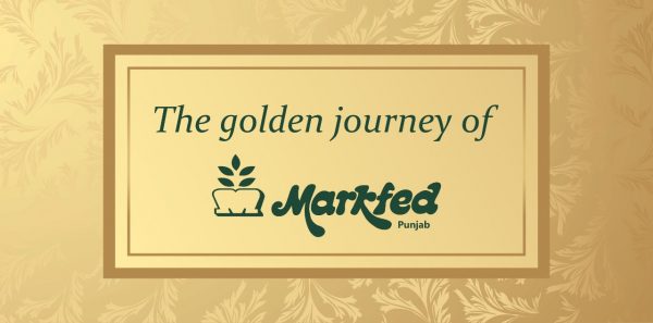 Markfedpunjab – Punjab Markfed
