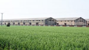 Markfedpunjab – Punjab Markfed