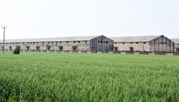 Markfedpunjab – Punjab Markfed