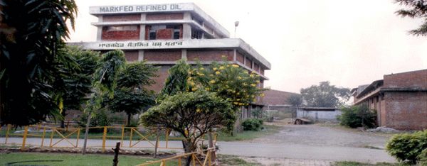 Markfedpunjab – Punjab Markfed